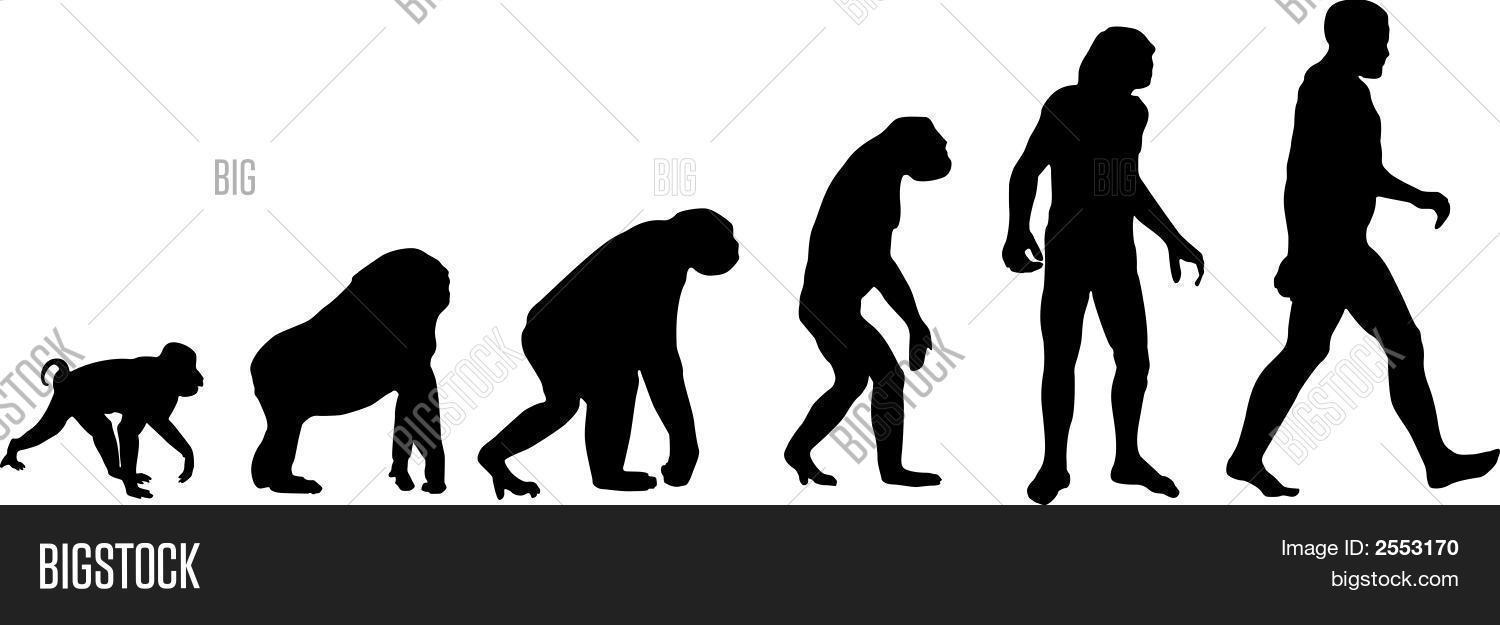 Human Evolution Vector & Photo (Free Trial) | Bigstock