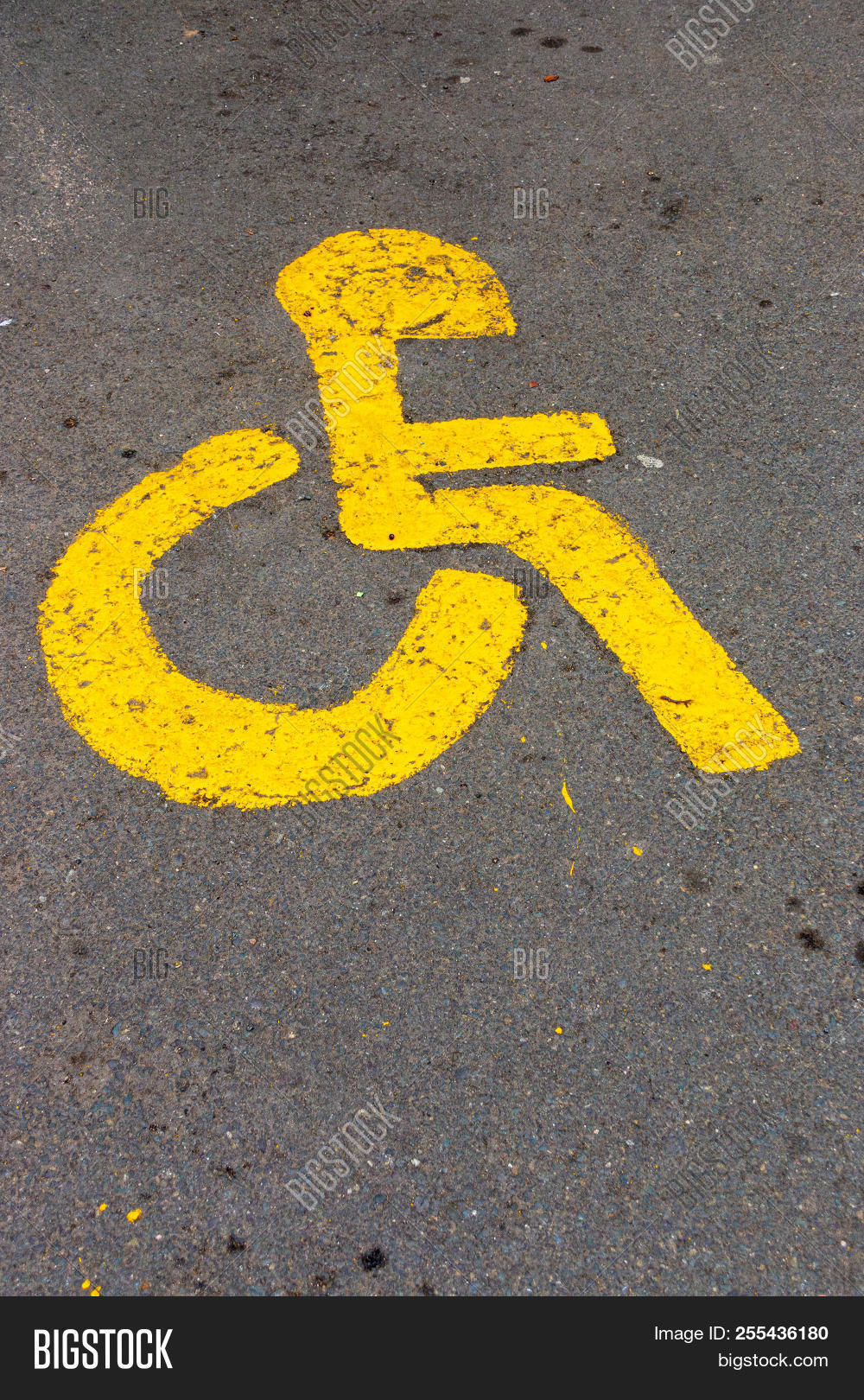 Close View Orange Image & Photo (Free Trial) | Bigstock