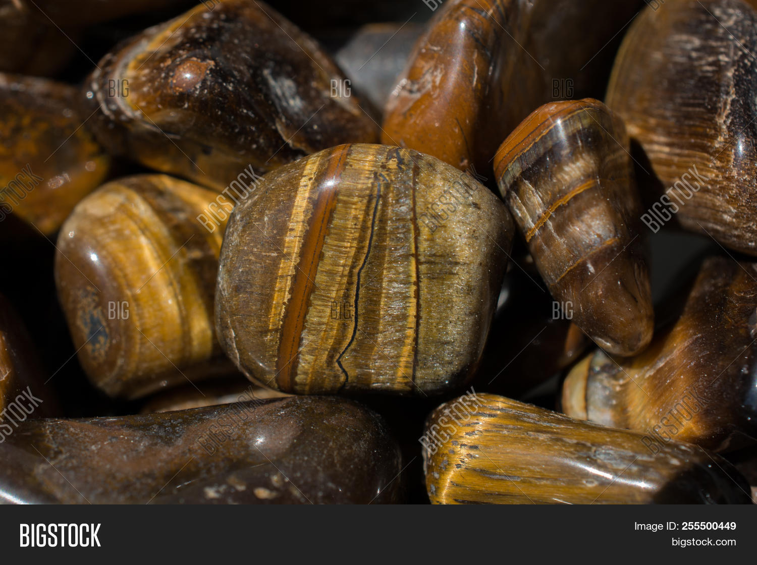 Tiger's Eye Hawk's Eye Image & Photo (Free Trial) | Bigstock