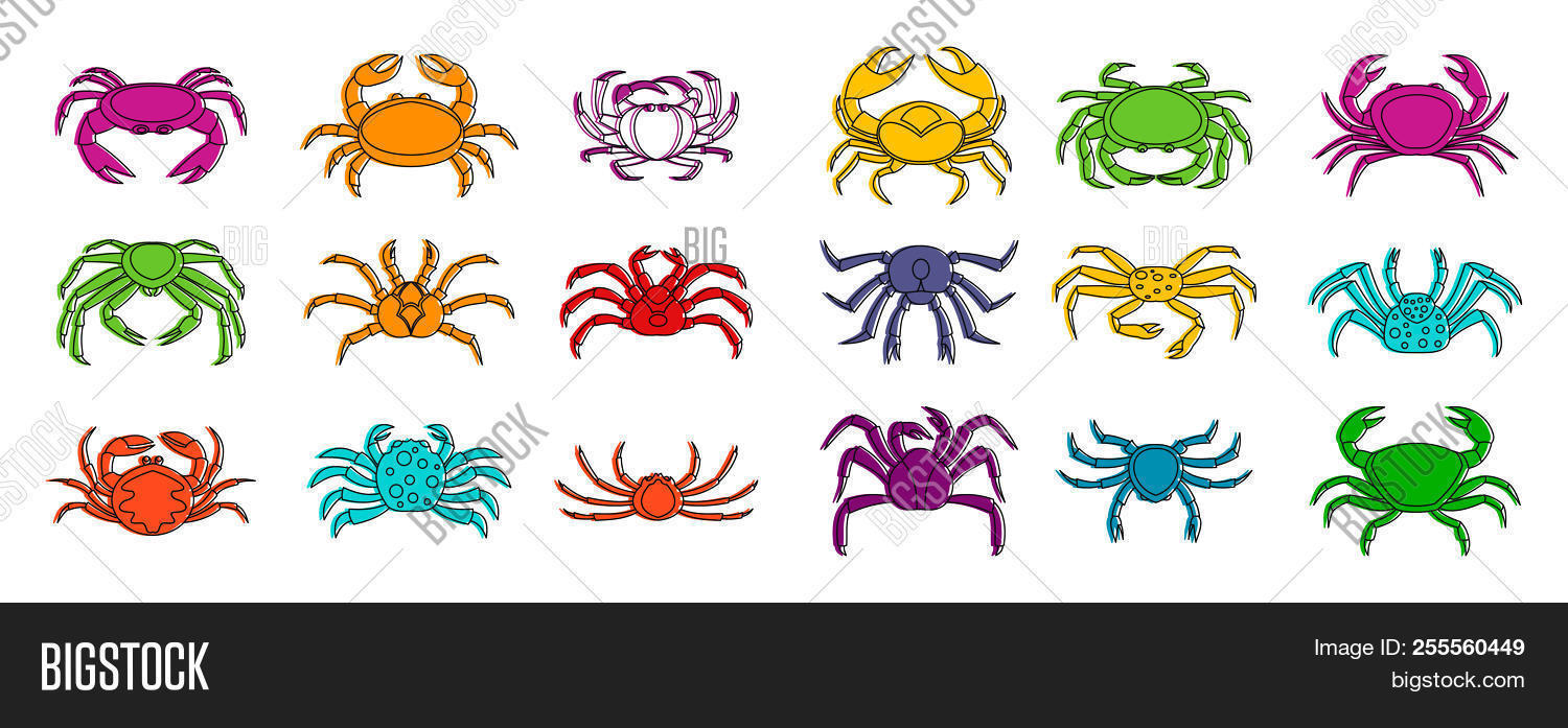 Crab Icon Set 이미지 및 사진(무료 체험) | Bigstock