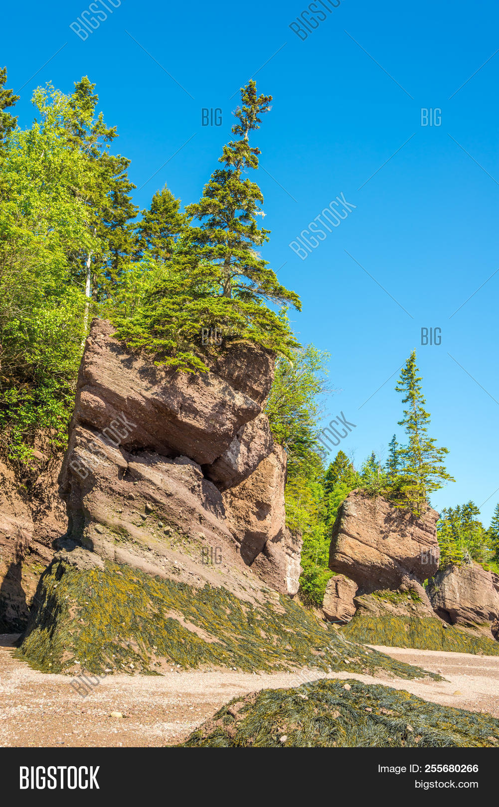 Rock Formation Trees Image & Photo (Free Trial) | Bigstock