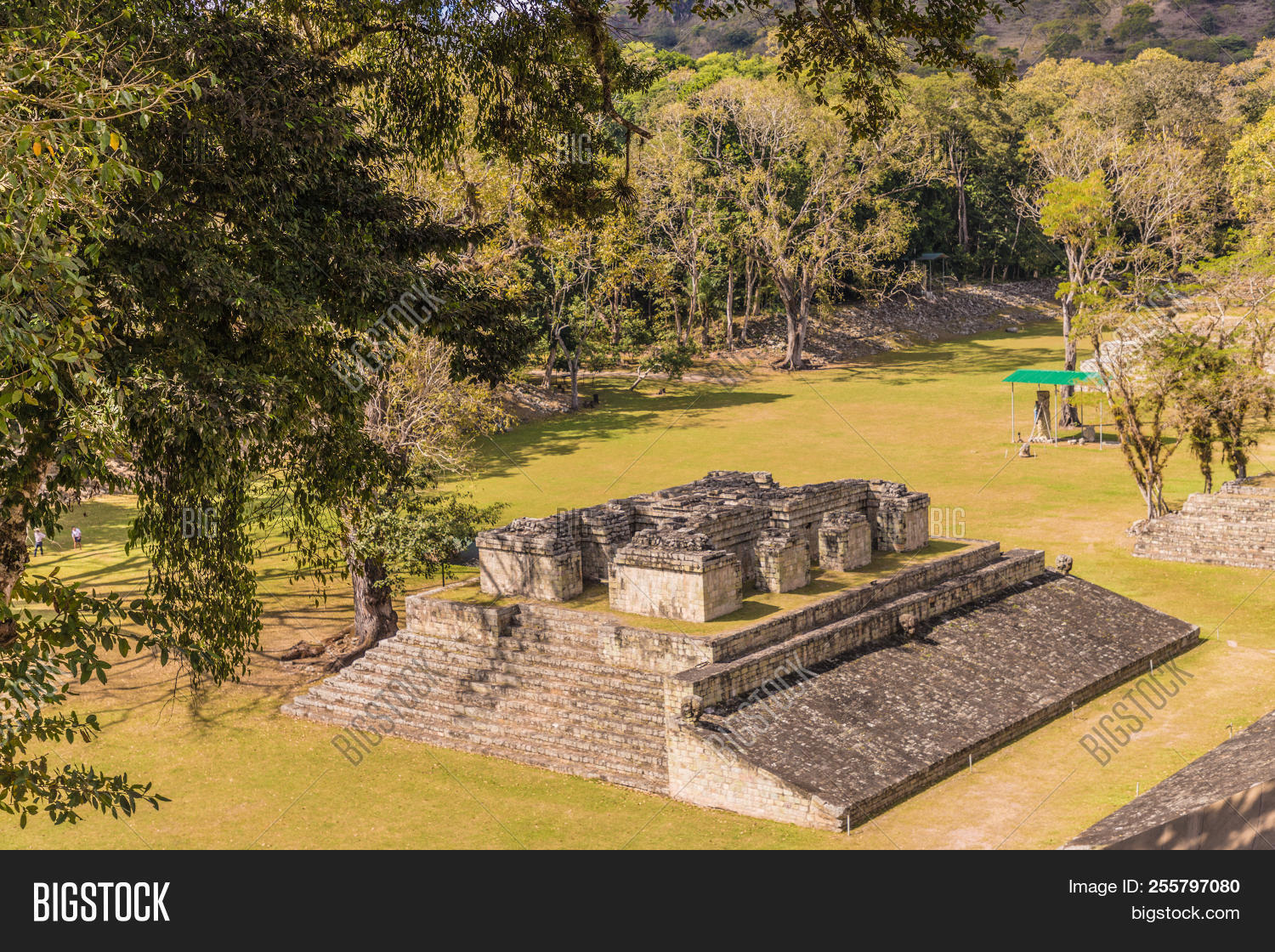 Copan Ruins, Honduras Image & Photo (Free Trial) | Bigstock