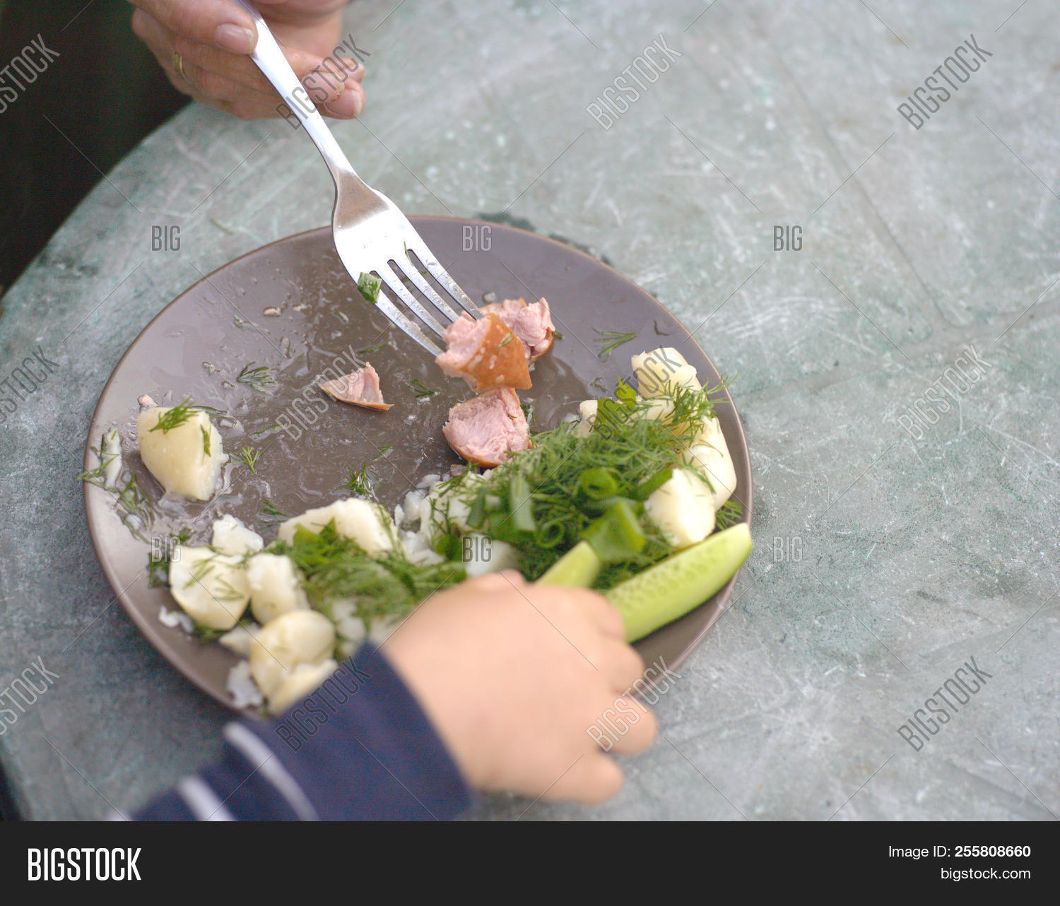 Hand Fork Plate