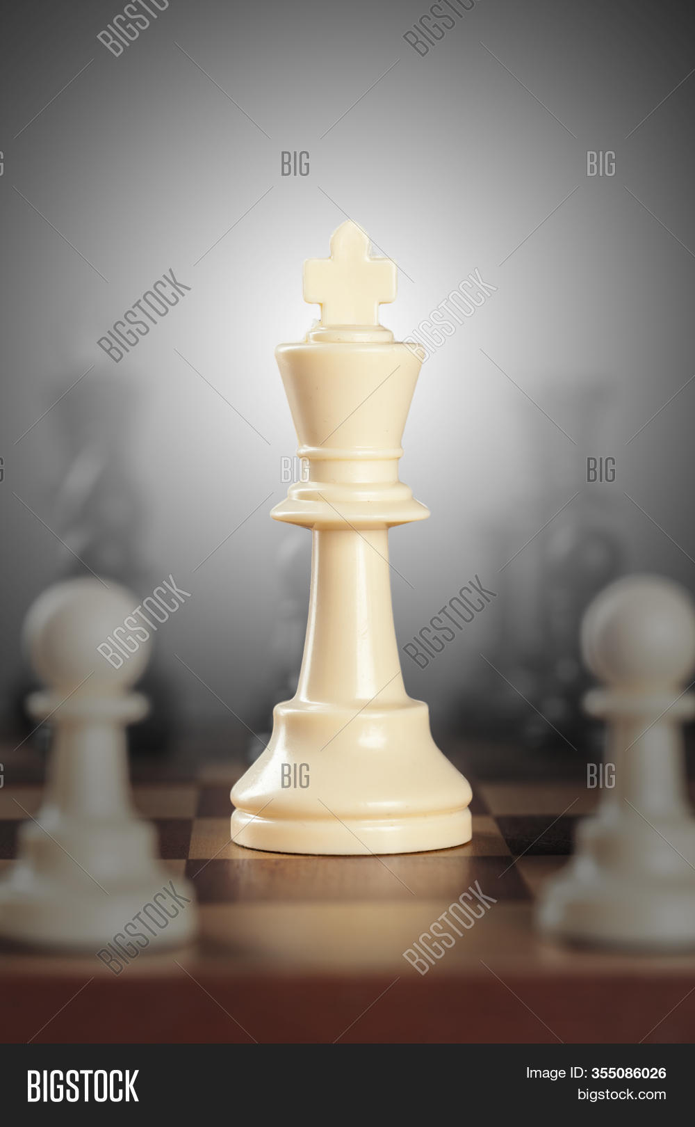 Creative Chess Photography