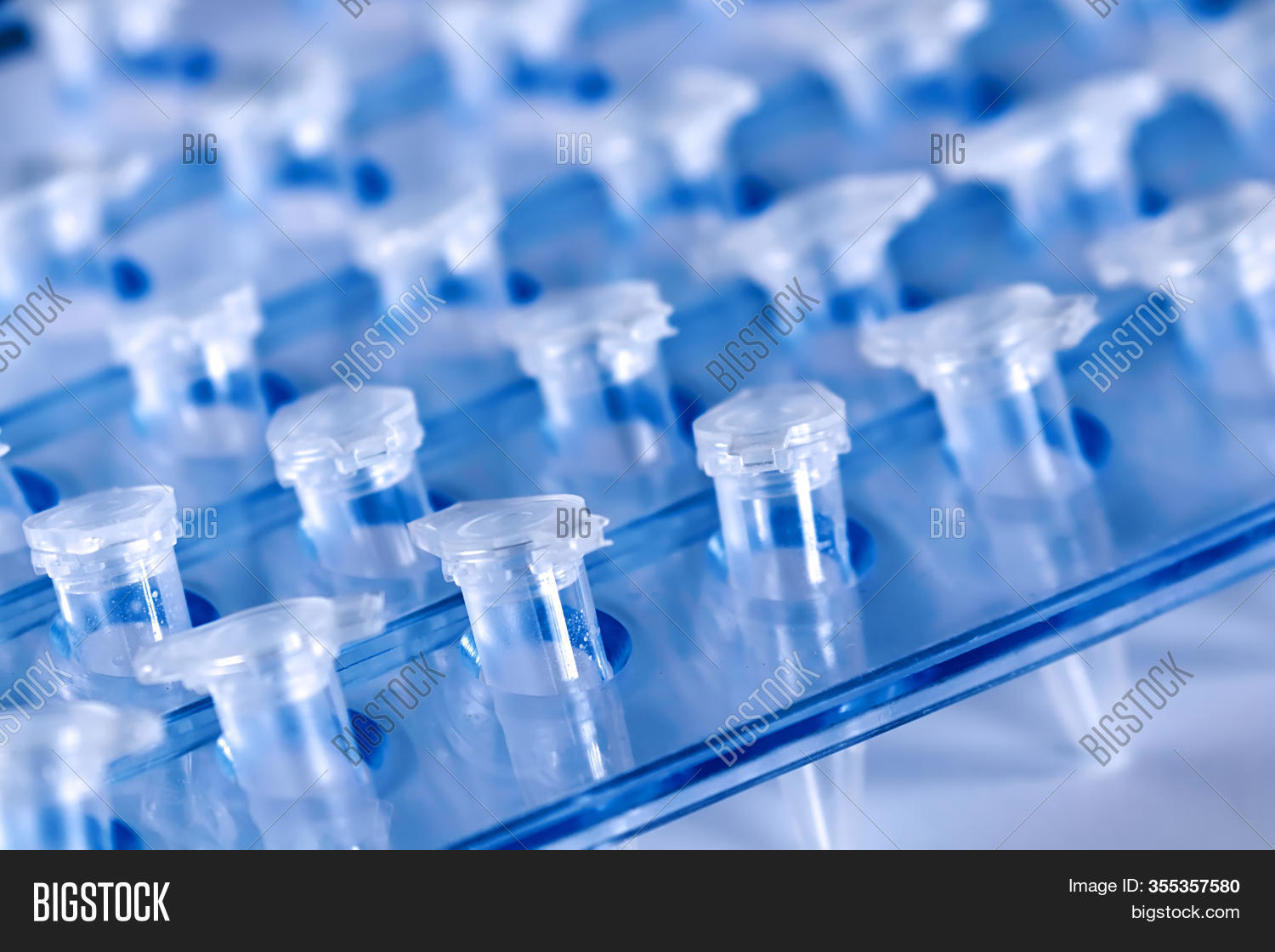 Science Plastic Test Image & Photo (Free Trial) | Bigstock