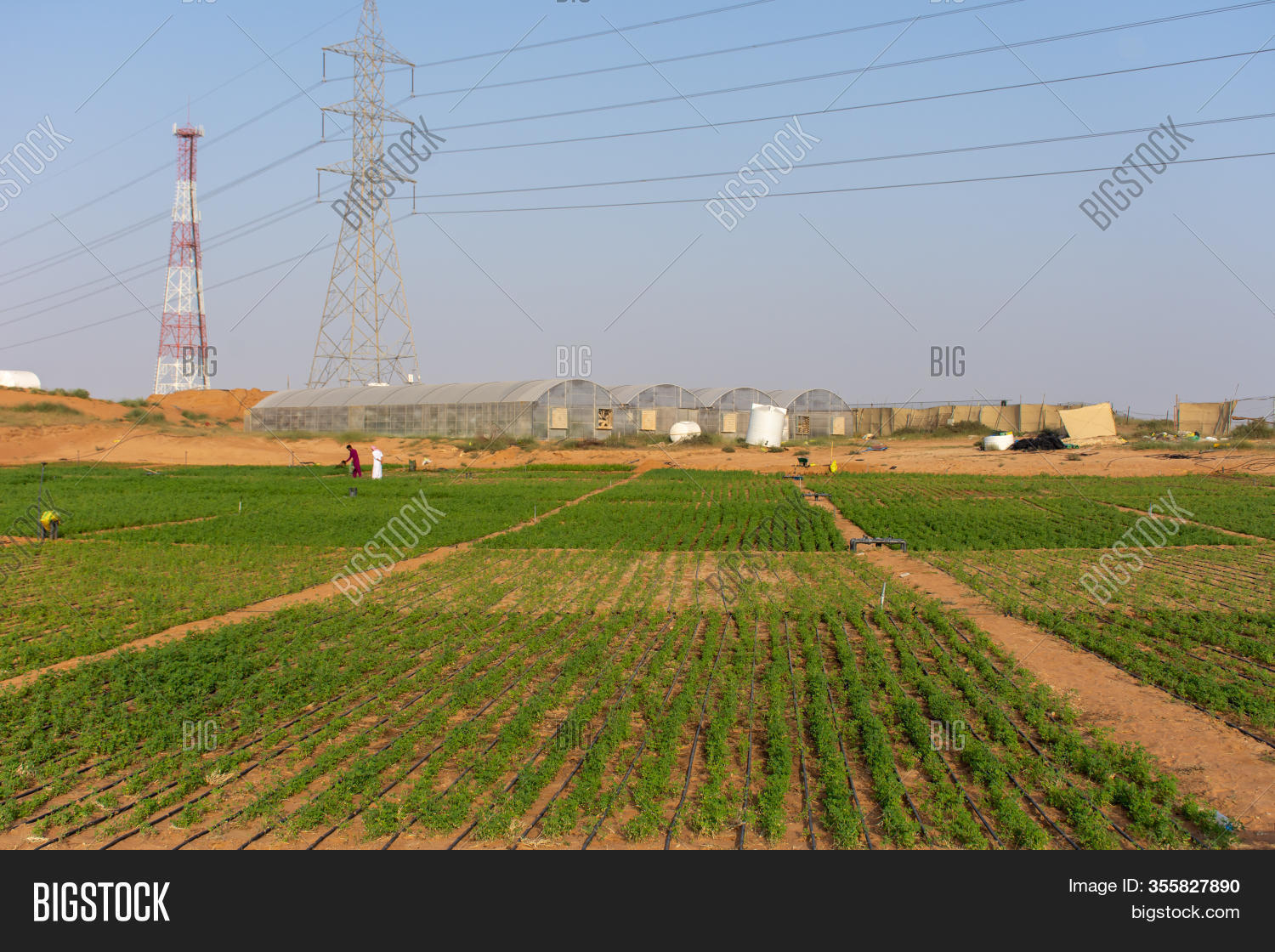 Desert Farm Contrast Image & Photo (Free Trial) | Bigstock