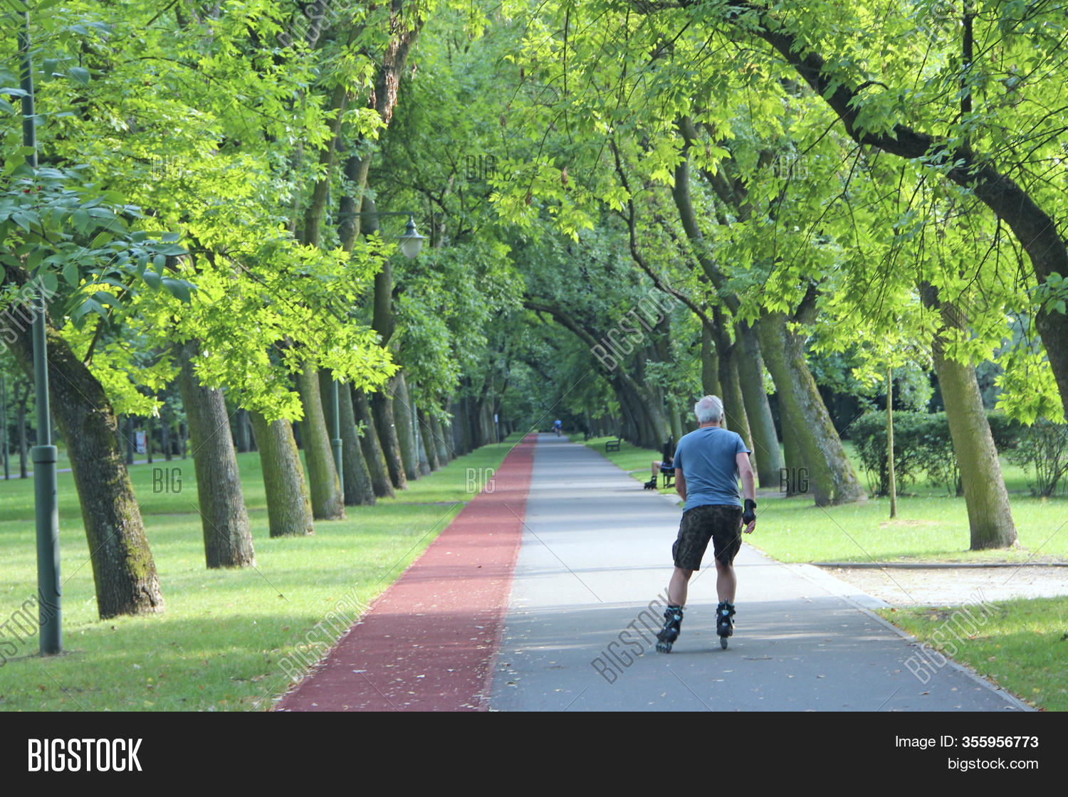 Beautiful City Park Image & Photo (Free Trial) | Bigstock