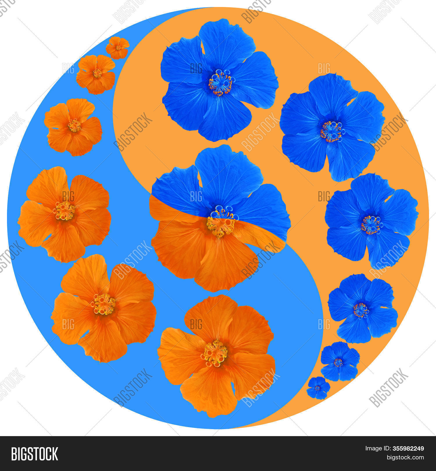 Floral Symbol Yin-yang Image & Photo (Free Trial) | Bigstock