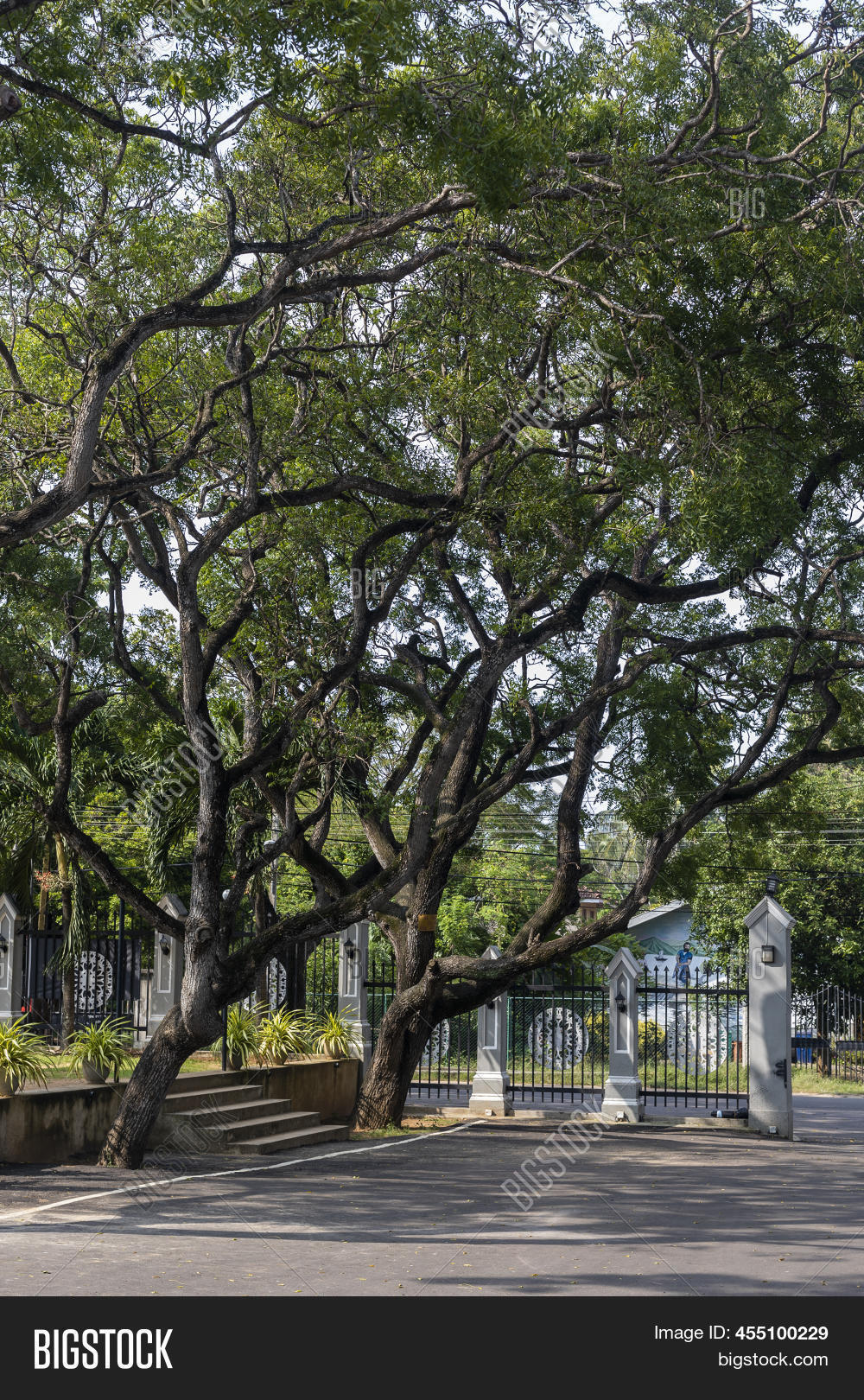 Sri Lanka. Negombo. Image & Photo (Free Trial) | Bigstock