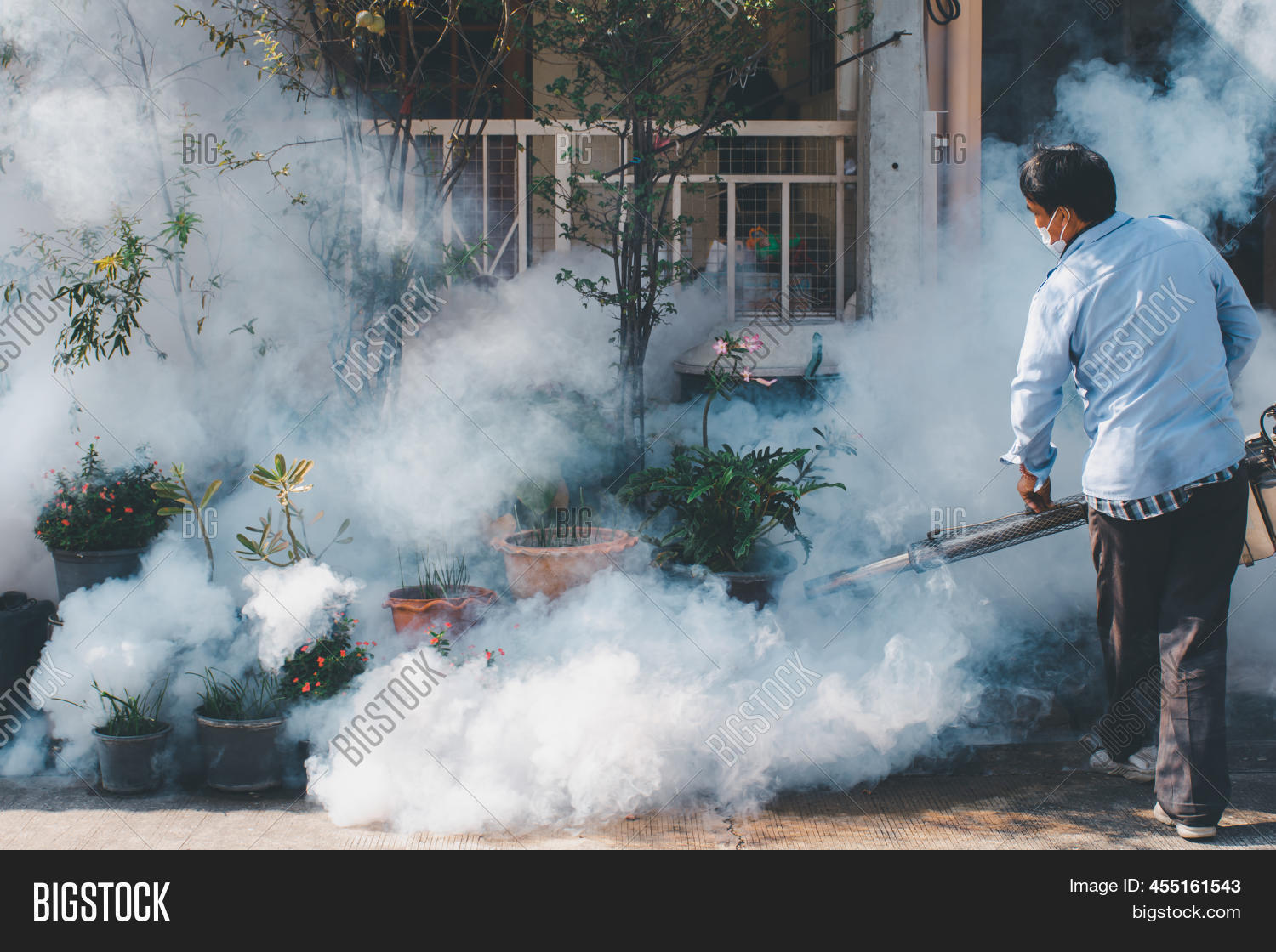 People Fogging Ddt Image & Photo (Free Trial) | Bigstock