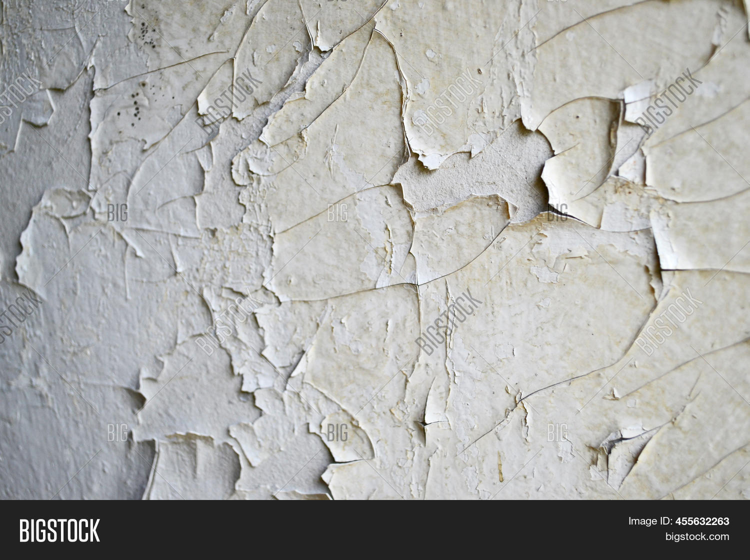 White Peeling Paint On Image & Photo (Free Trial) | Bigstock