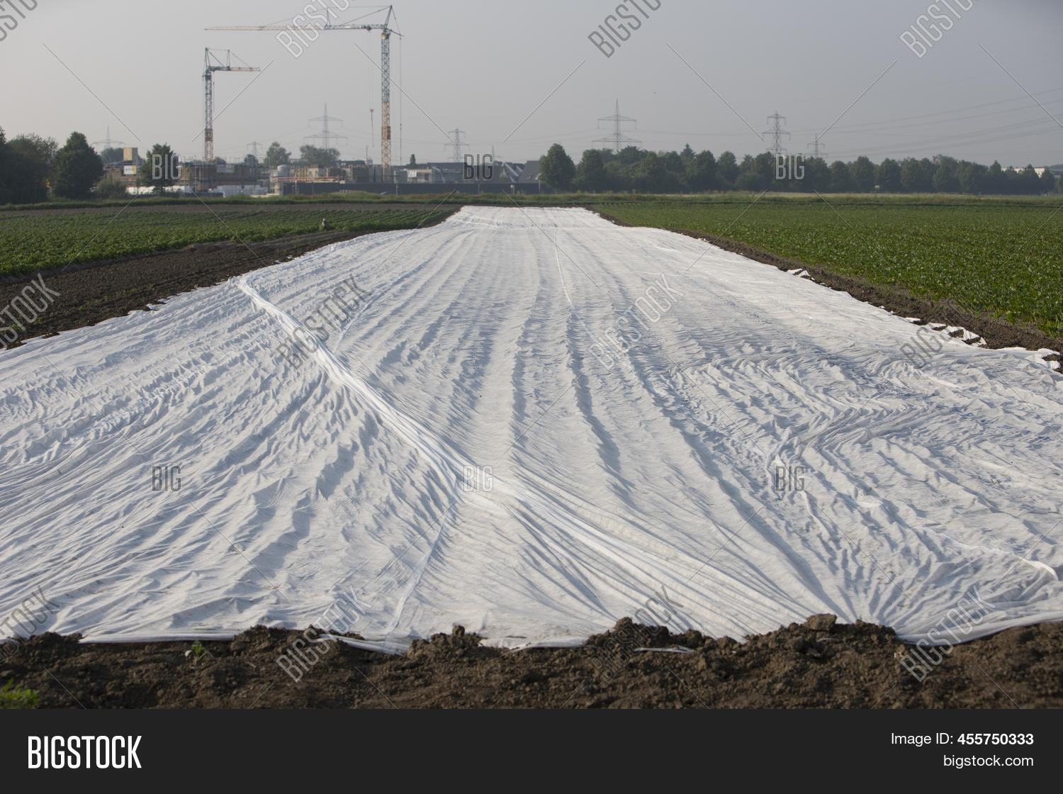 Large Net Field Image & Photo (Free Trial) | Bigstock