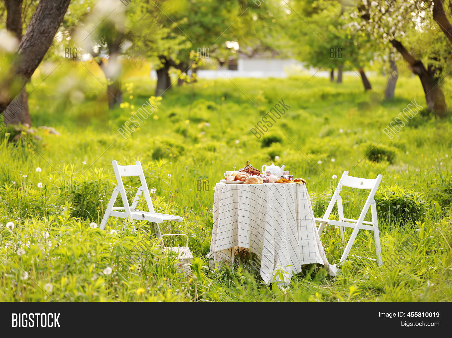 Picnic Decorated Table Image & Photo (Free Trial) | Bigstock