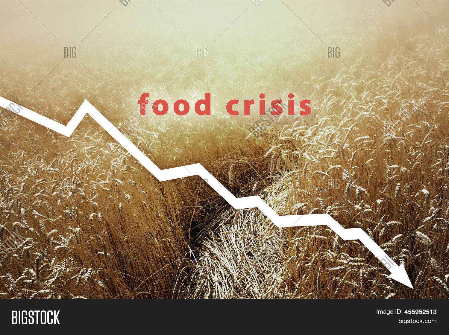 Food Crisis. Failed Image & Photo (Free Trial) | Bigstock