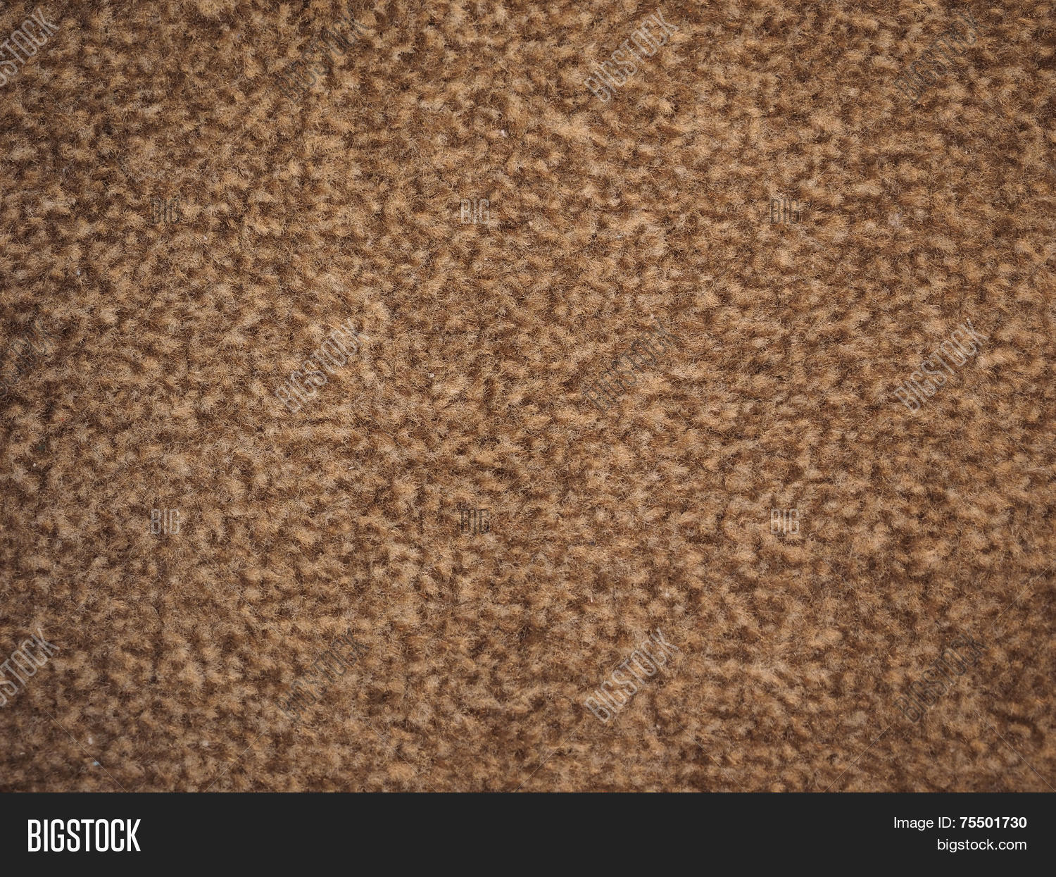 Moquette Fabric Carpet Image & Photo (Free Trial) | Bigstock