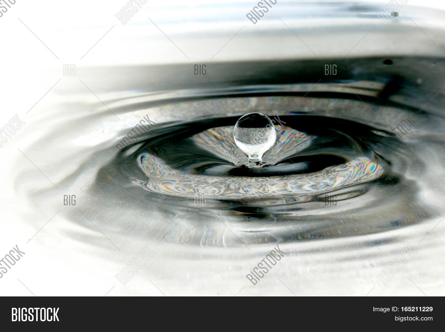 Water Drop Spalsh Image & Photo (Free Trial) | Bigstock