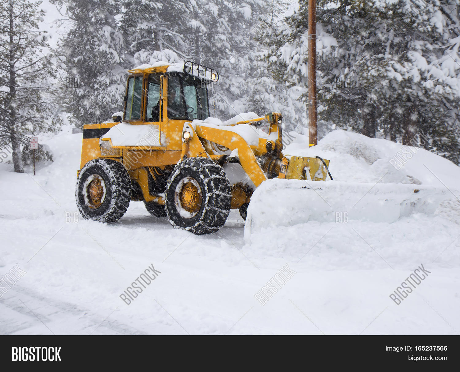 Heavy Snow. Winter Image & Photo (Free Trial) | Bigstock