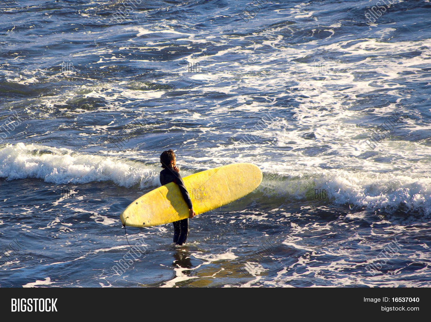 Photo Long-board Image & Photo (Free Trial) | Bigstock