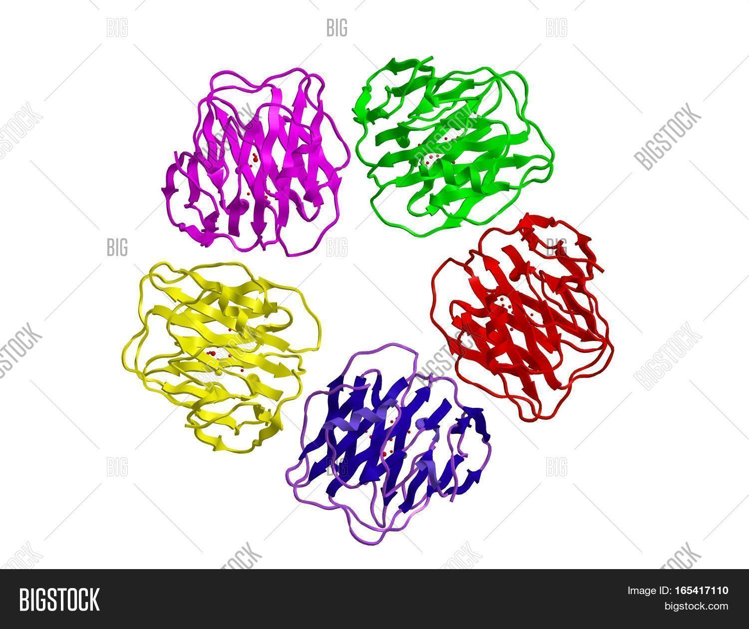 Molecular Structure Image & Photo (Free Trial) | Bigstock
