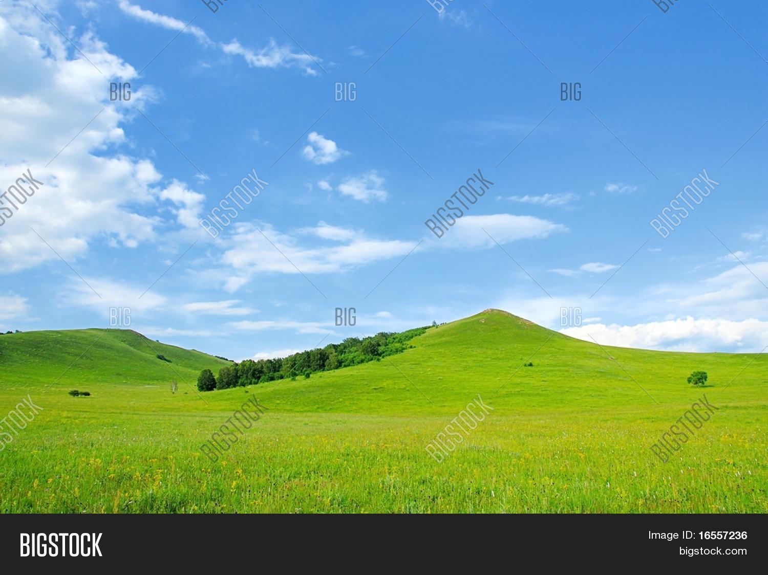 Grassland Image & Photo (Free Trial) | Bigstock