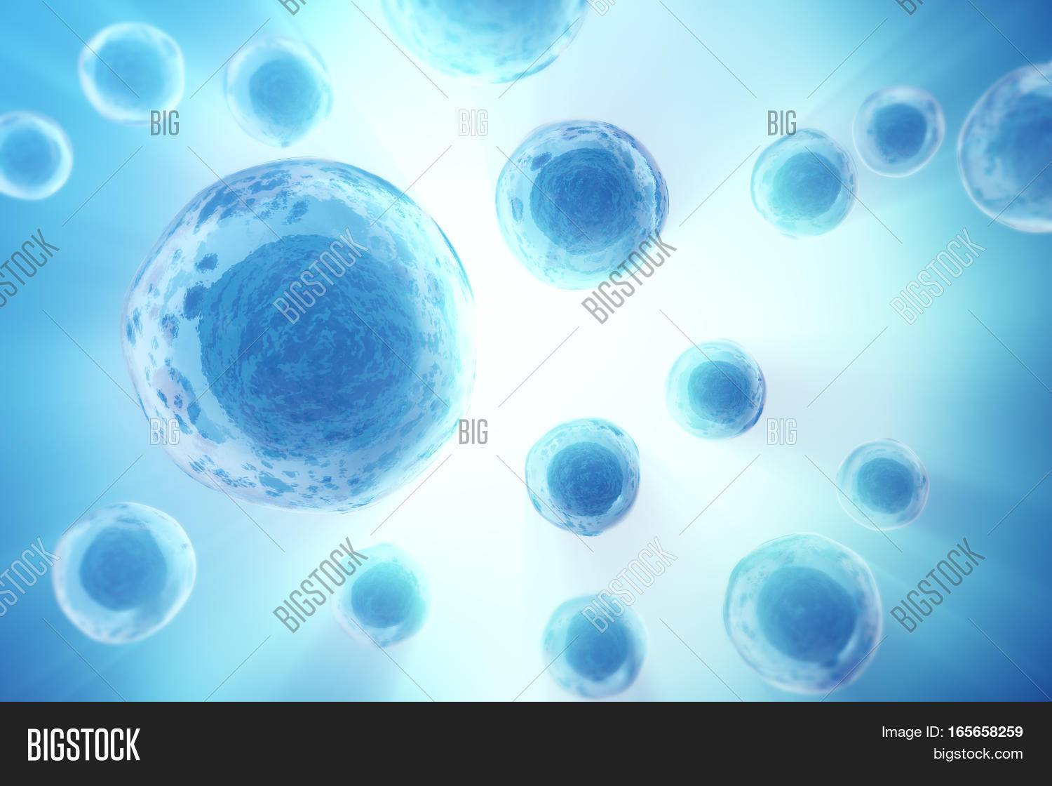 Human Animal Cells On Image & Photo (Free Trial) | Bigstock