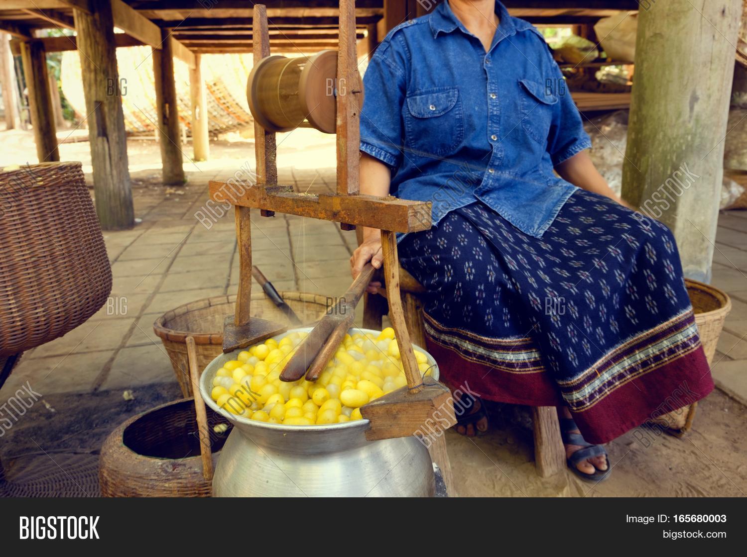 Boiled Silkworm Image & Photo (Free Trial) | Bigstock