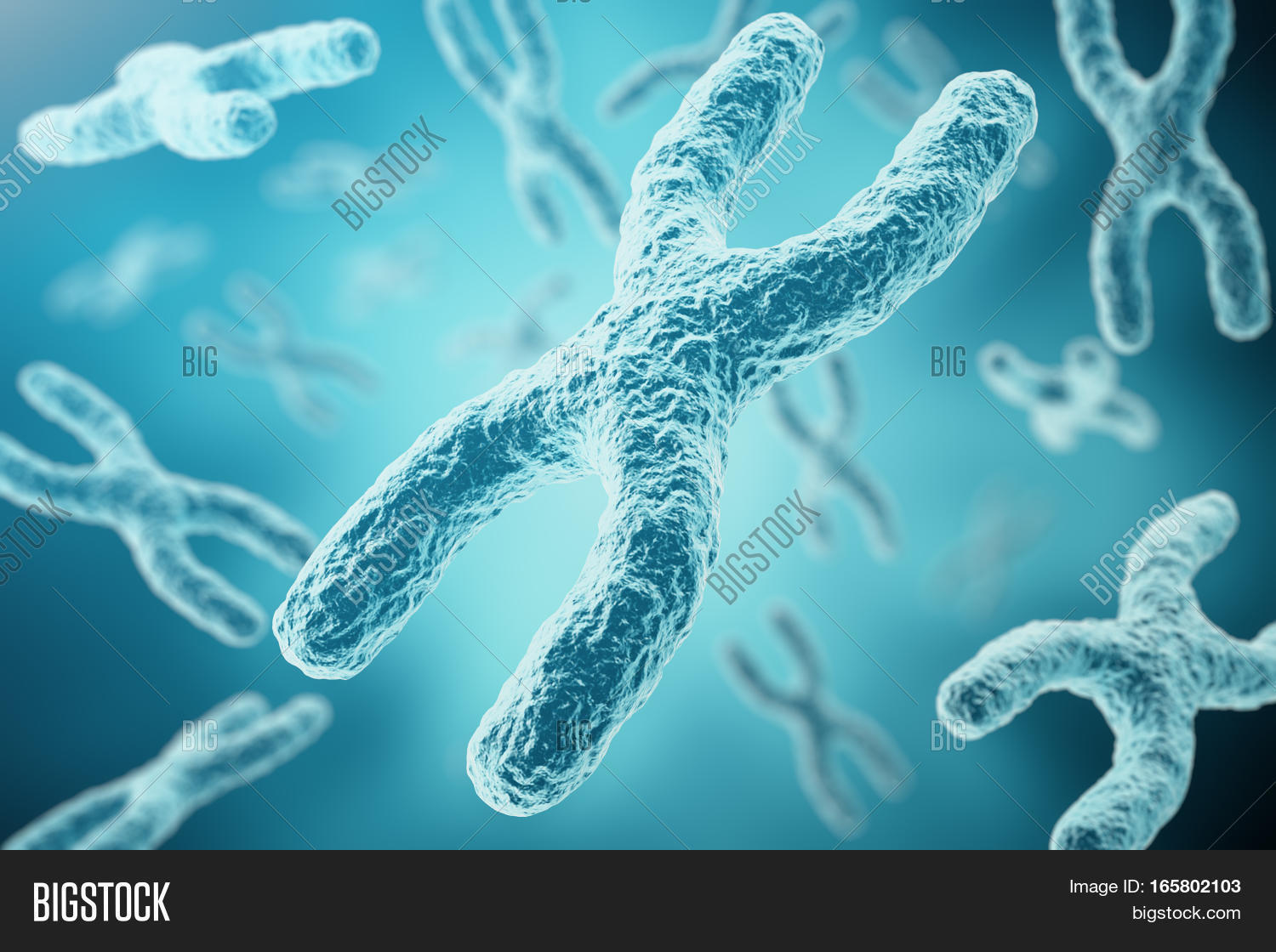 XY-chromosomes Concept Image & Photo (Free Trial) | Bigstock