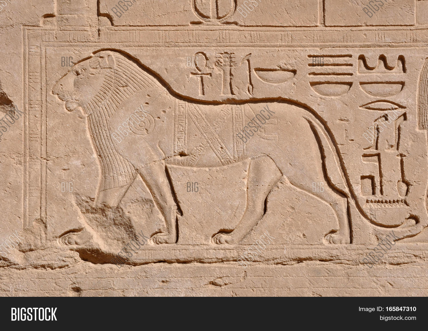 Bas-relief Lion On Image & Photo (Free Trial) | Bigstock