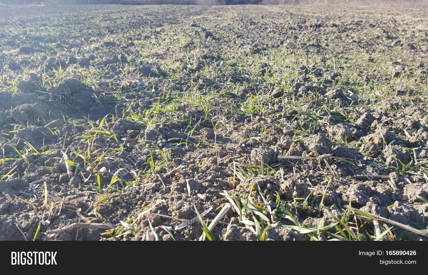 Soil / Sand Texture Image & Photo (Free Trial) | Bigstock