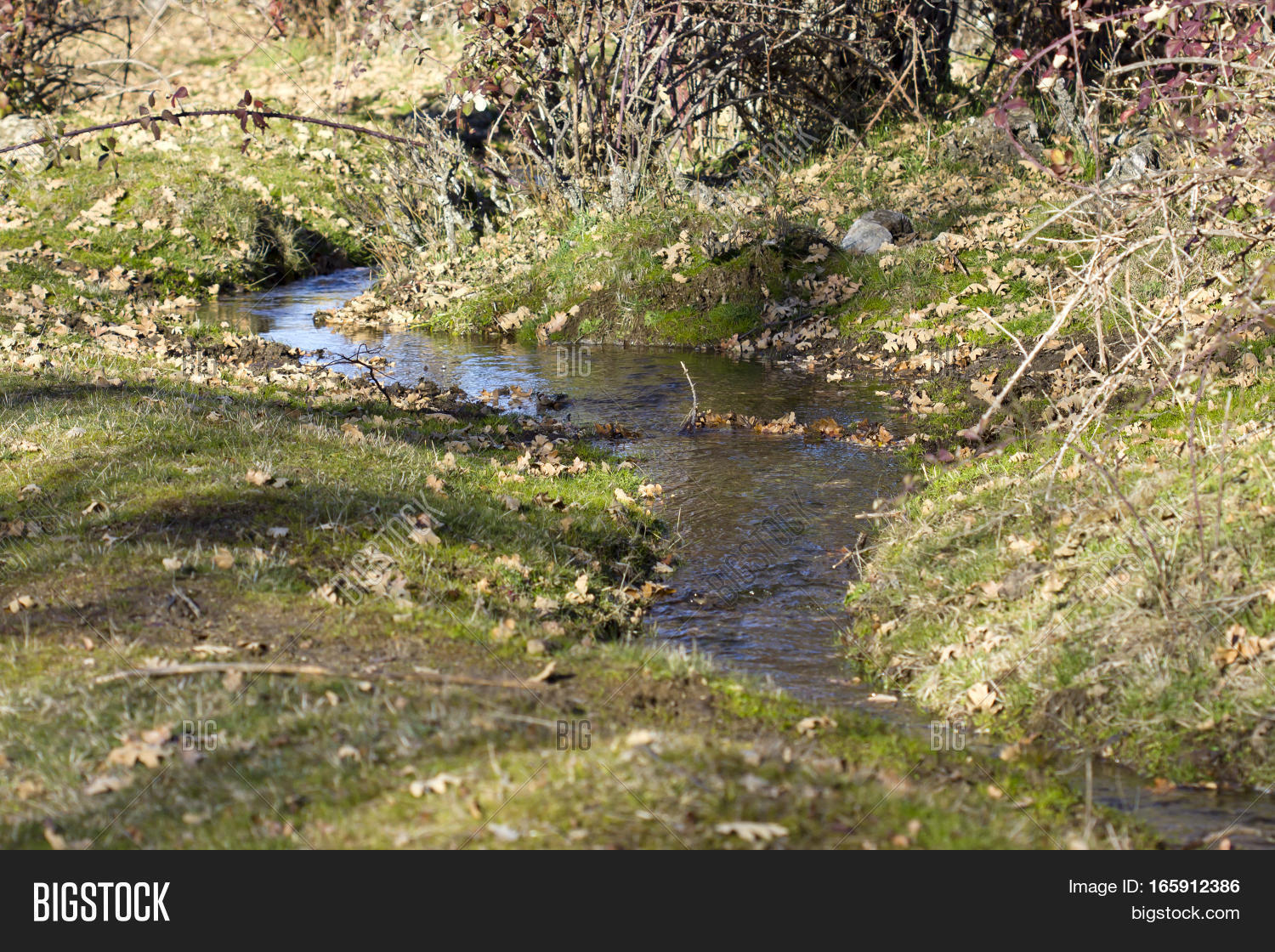 Small Water Stream Image & Photo (Free Trial) | Bigstock