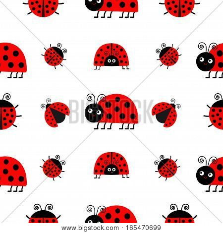 Ladybug Ladybird Icon Vector & Photo (Free Trial) | Bigstock