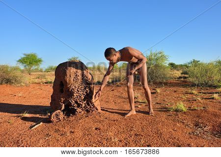 KALAHARI NAMIBIA - JAN Image & Photo (Free Trial) | Bigstock