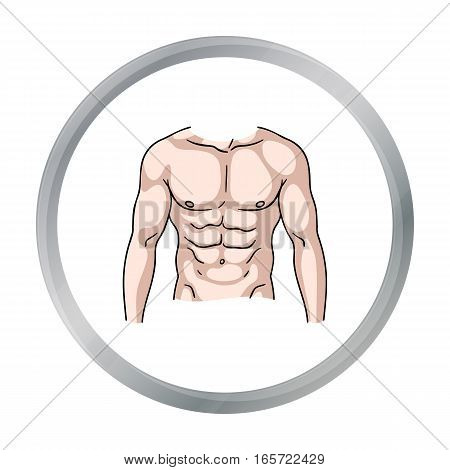 Muscular Torso Icon Vector & Photo (Free Trial) | Bigstock