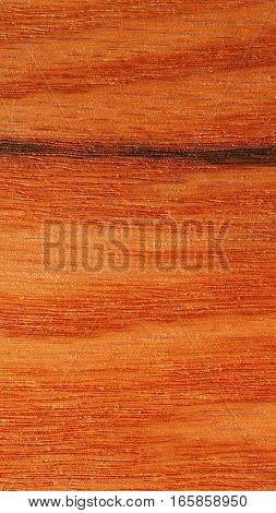 Red Oak Wood Image & Photo (Free Trial) | Bigstock