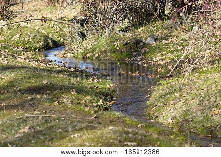 Small Water Stream Image & Photo (Free Trial) | Bigstock