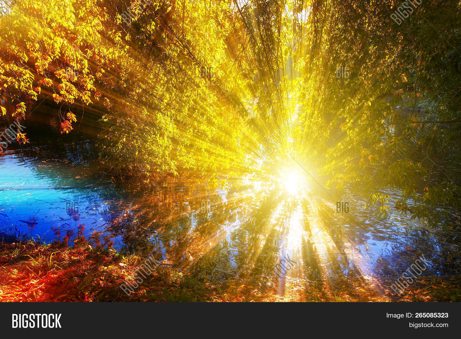 Warm Autumn Sun Image & Photo (Free Trial) | Bigstock