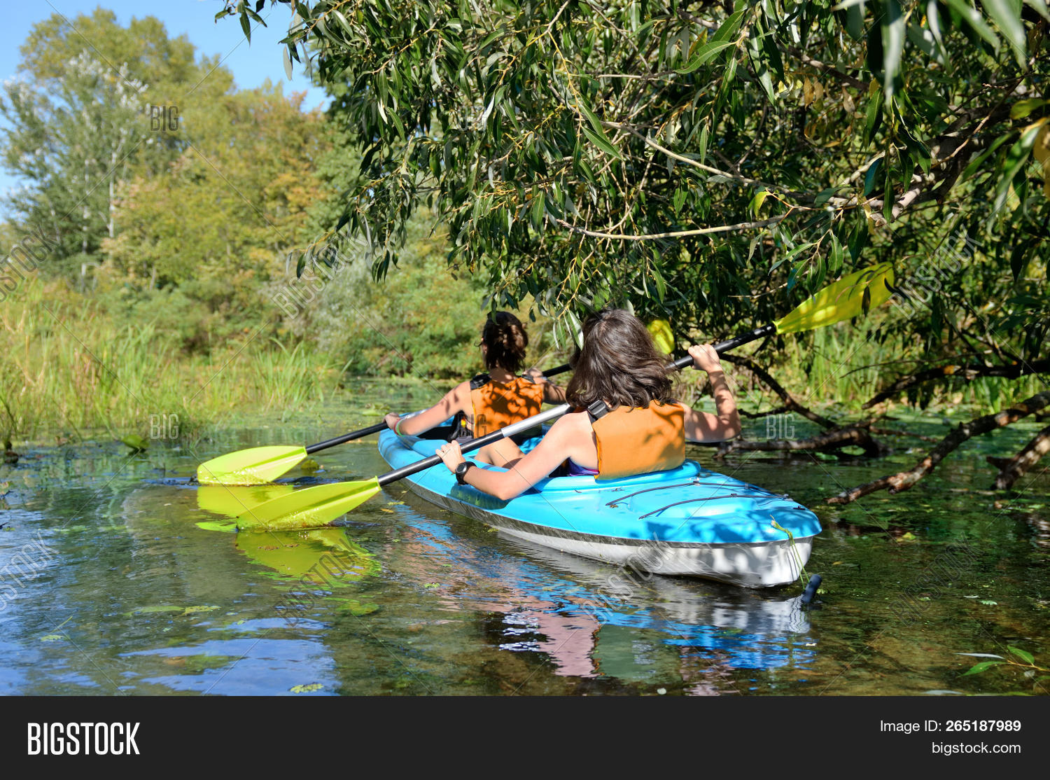 Family Kayaking, Image & Photo (Free Trial) | Bigstock