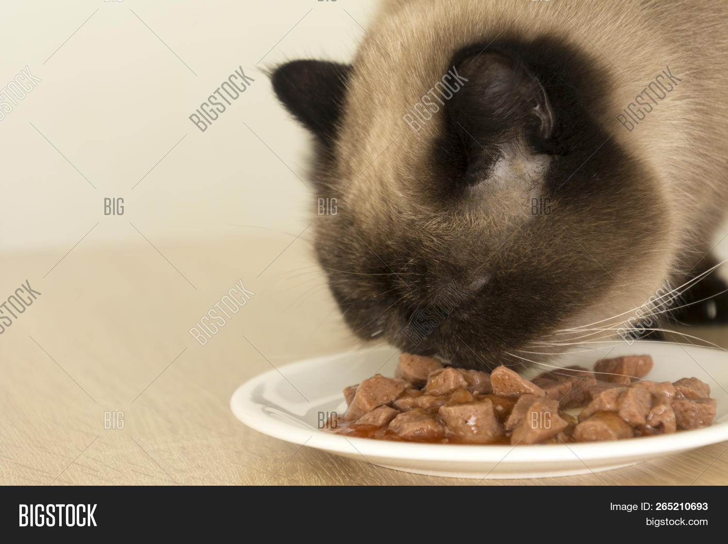 Closeup Cat Eating Image & Photo (Free Trial) | Bigstock