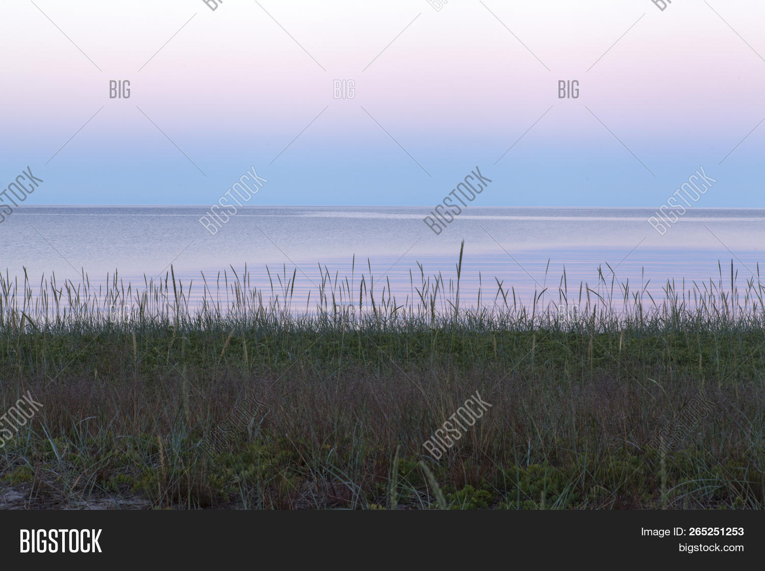 Calm Evening By Sea. Image & Photo (Free Trial) | Bigstock