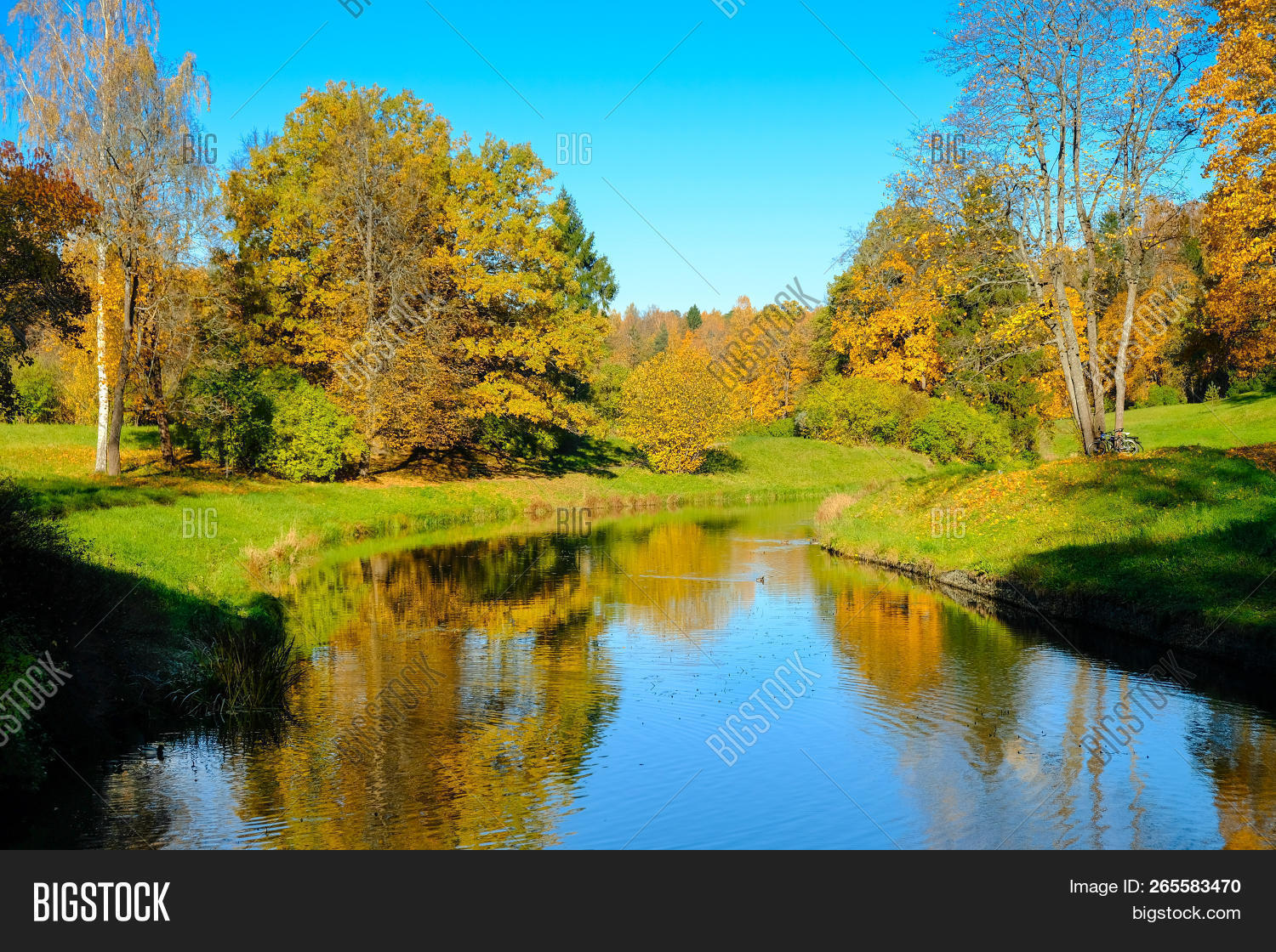 Beautiful Autumn Sunny Image & Photo (Free Trial) | Bigstock