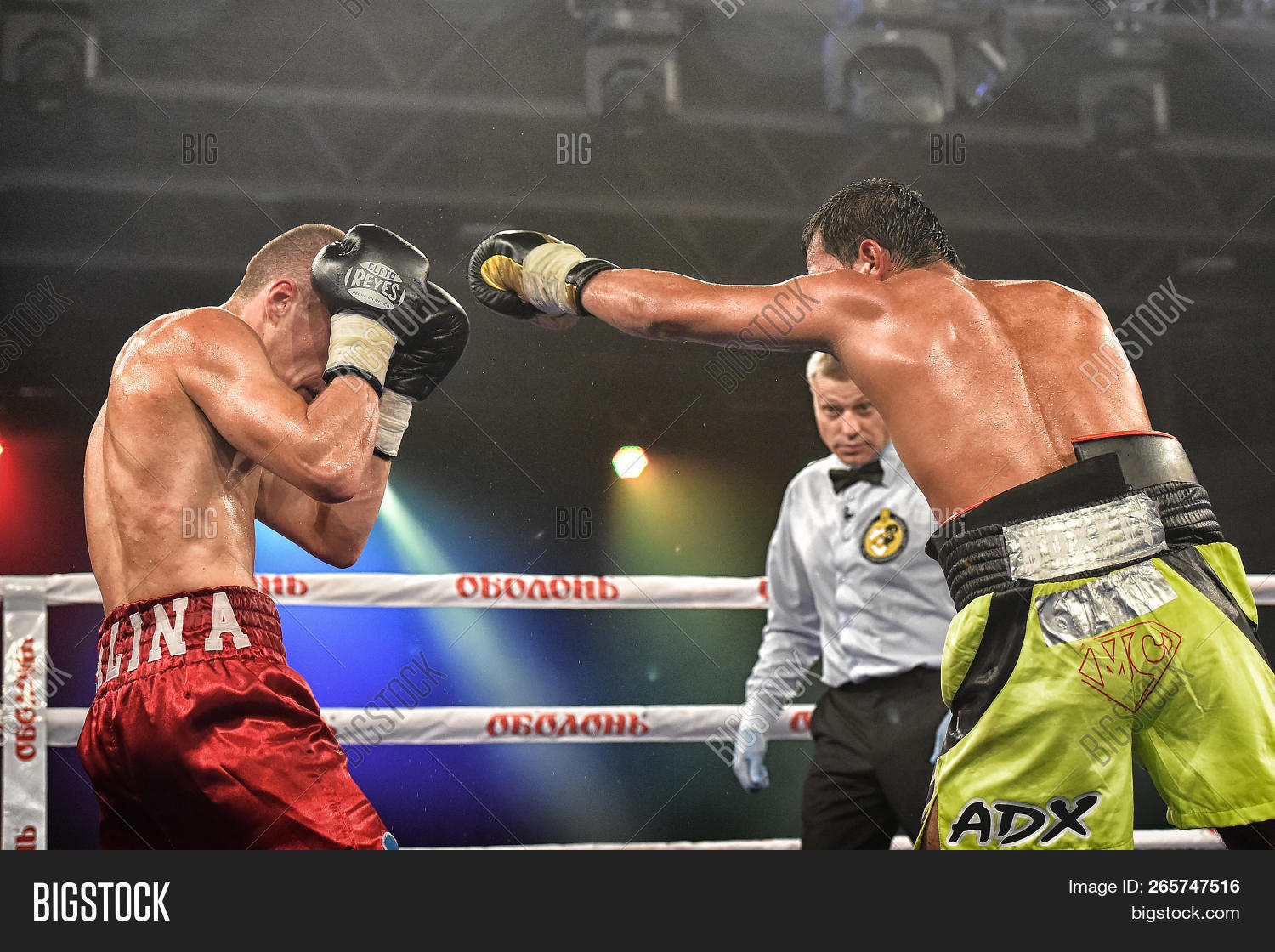Unidentified Boxers Image & Photo (Free Trial) | Bigstock