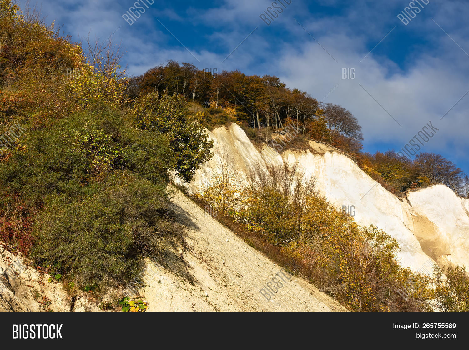 Baltic Sea Coast On Image & Photo (Free Trial) | Bigstock