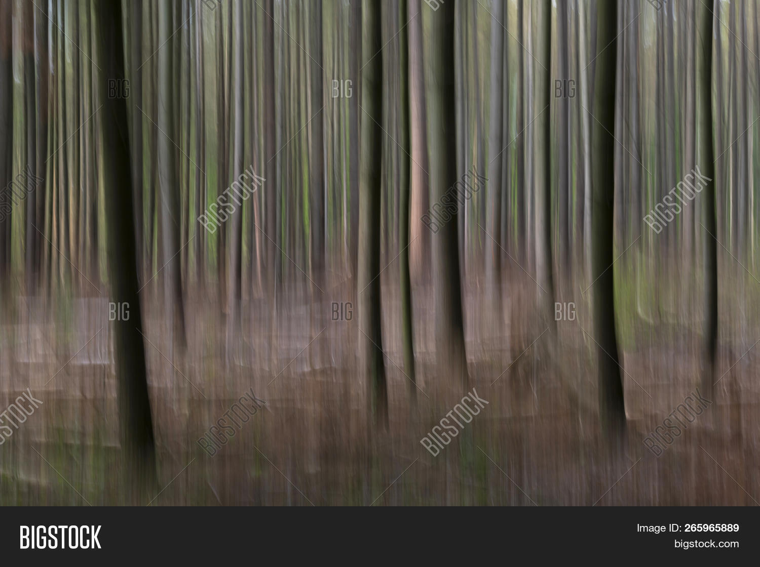 Abstract Trees Forest Image & Photo (Free Trial) | Bigstock