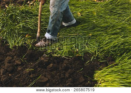 Man Digging Garden. Image & Photo (Free Trial) | Bigstock