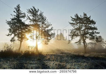 Fall Slovakia. Autumn Image & Photo (Free Trial) | Bigstock