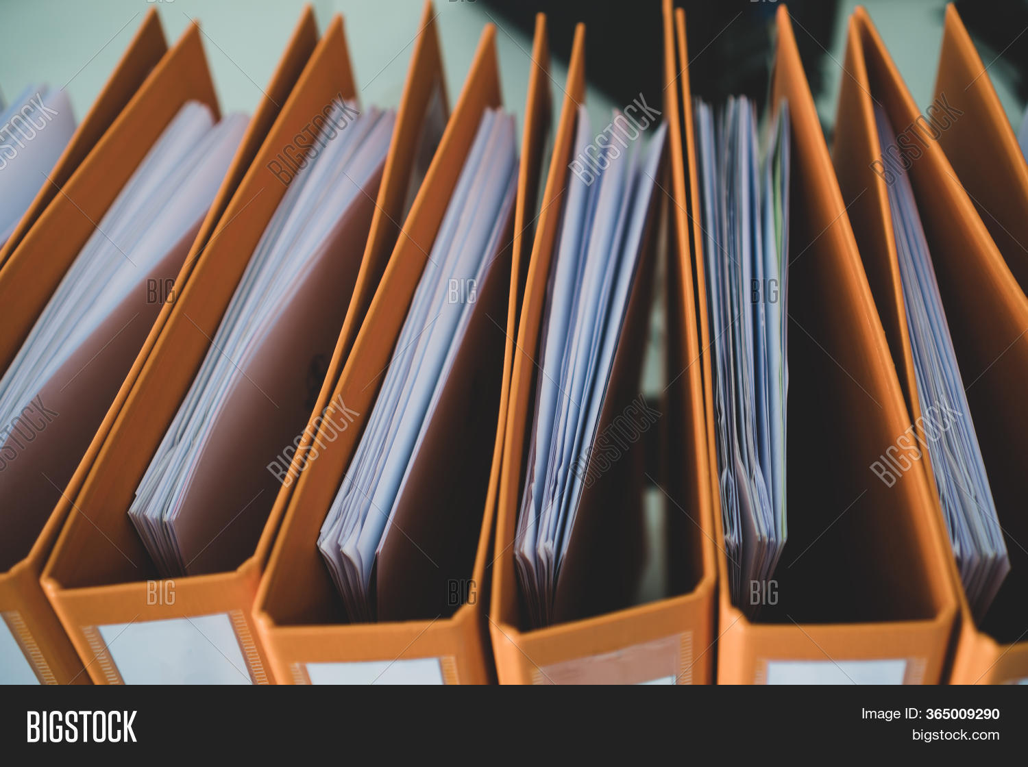 Document Binder File Image & Photo (Free Trial) | Bigstock
