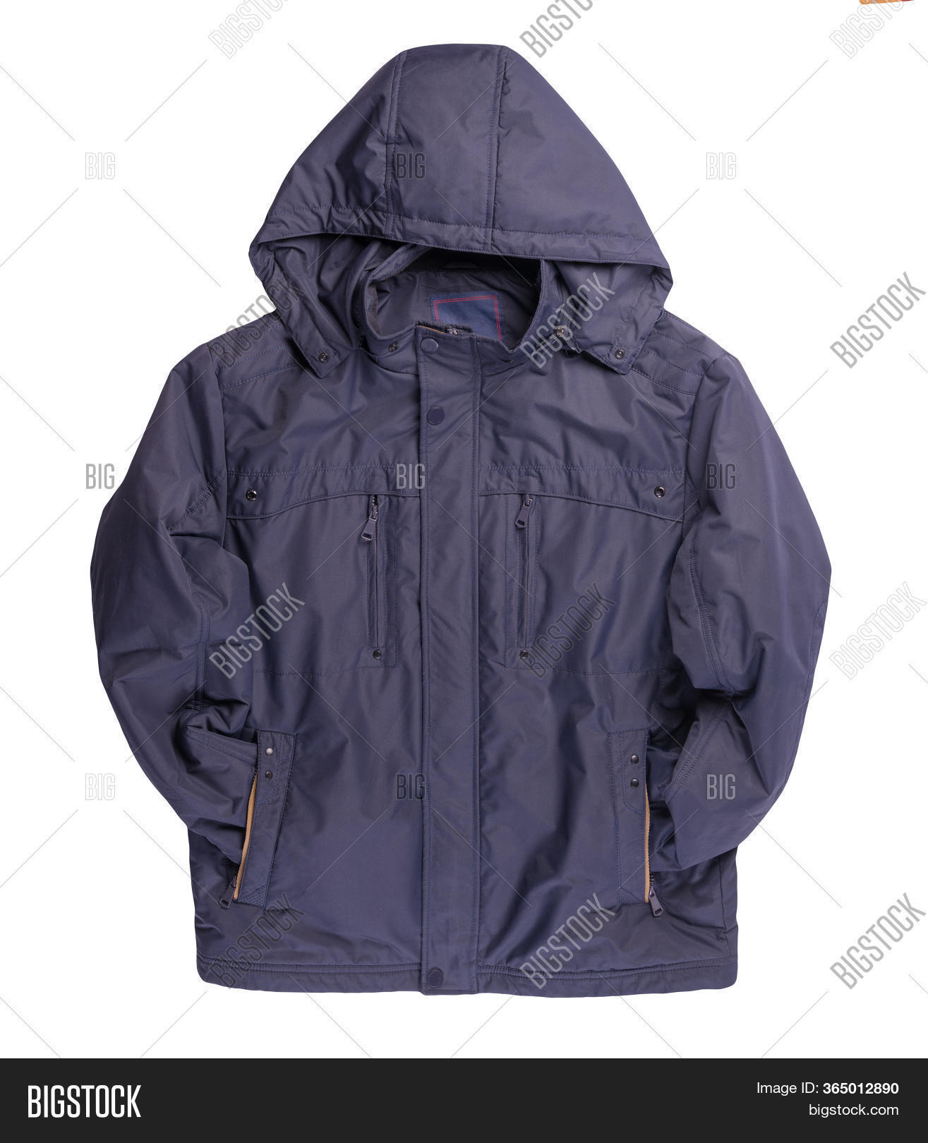 Male Blue Jacket Image & Photo (Free Trial) | Bigstock