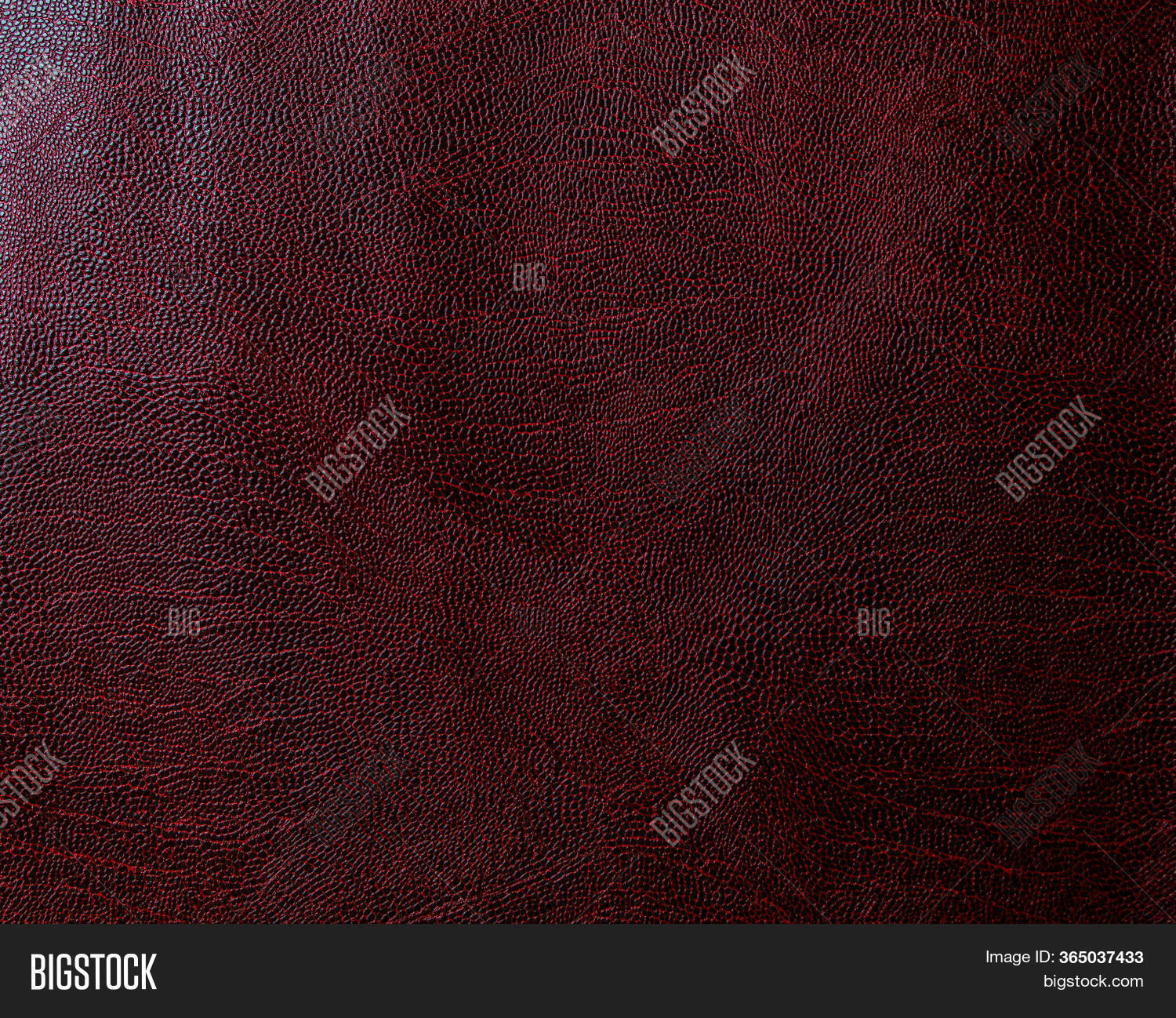 Maroon Faux Leather. Image & Photo (Free Trial) | Bigstock