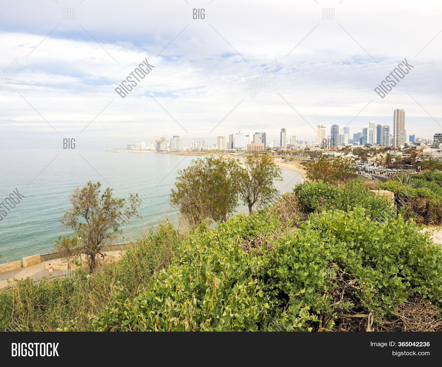Tel Aviv, Israel. View Image & Photo (Free Trial) | Bigstock