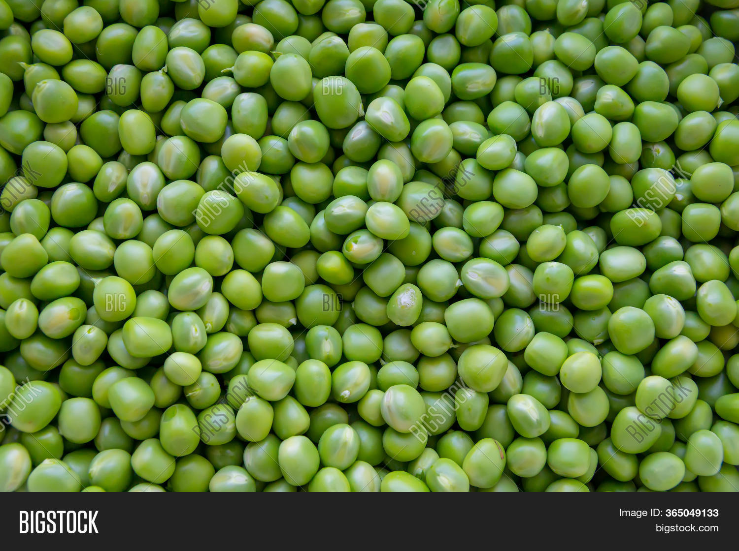 Background Young Juicy Image & Photo (Free Trial) | Bigstock
